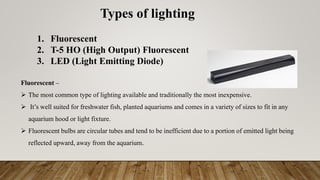 Class-1 Lighting and Aeration.pdf