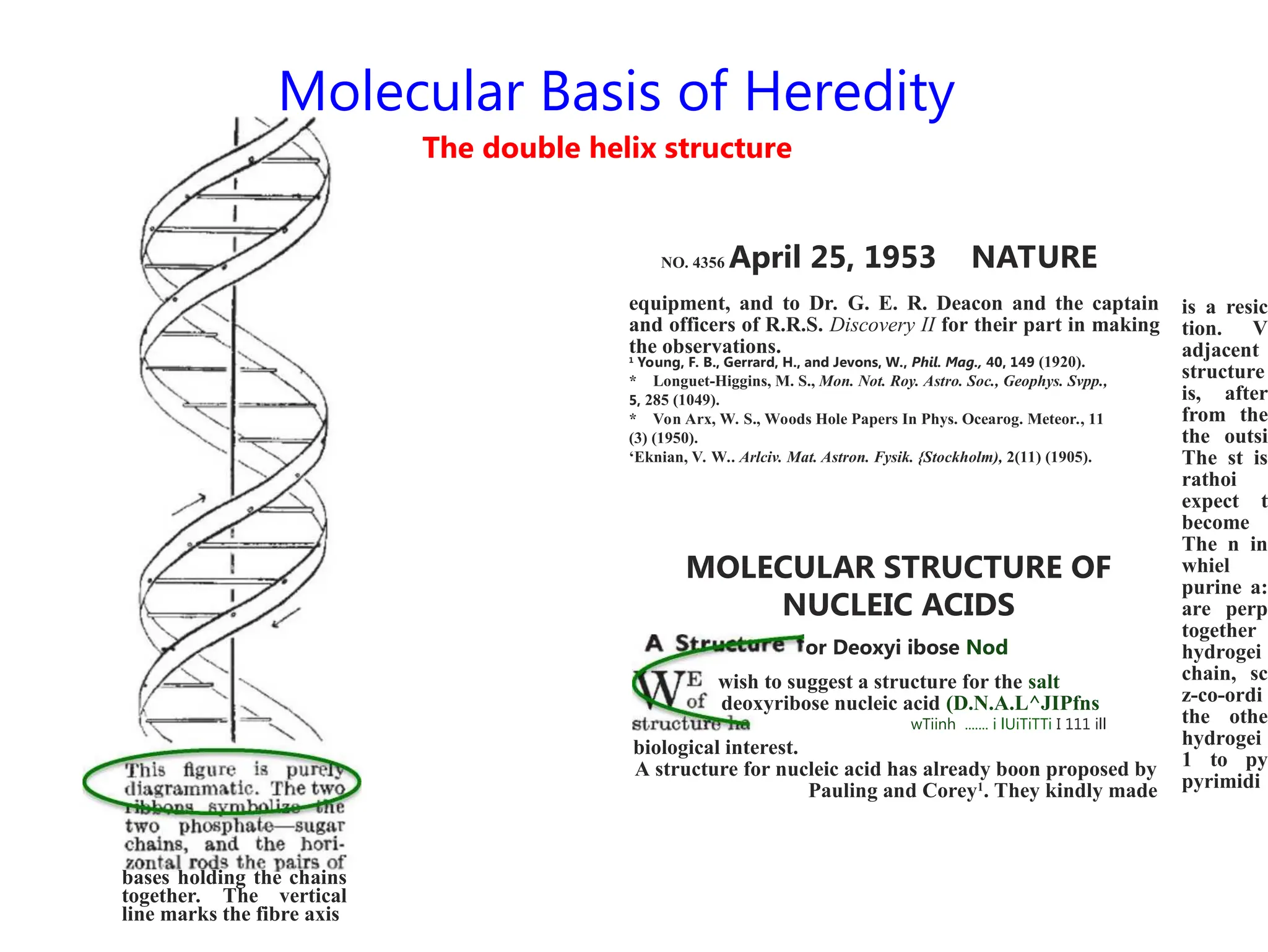 A class about Biophysics Introduction and history of biophysicist | PPT