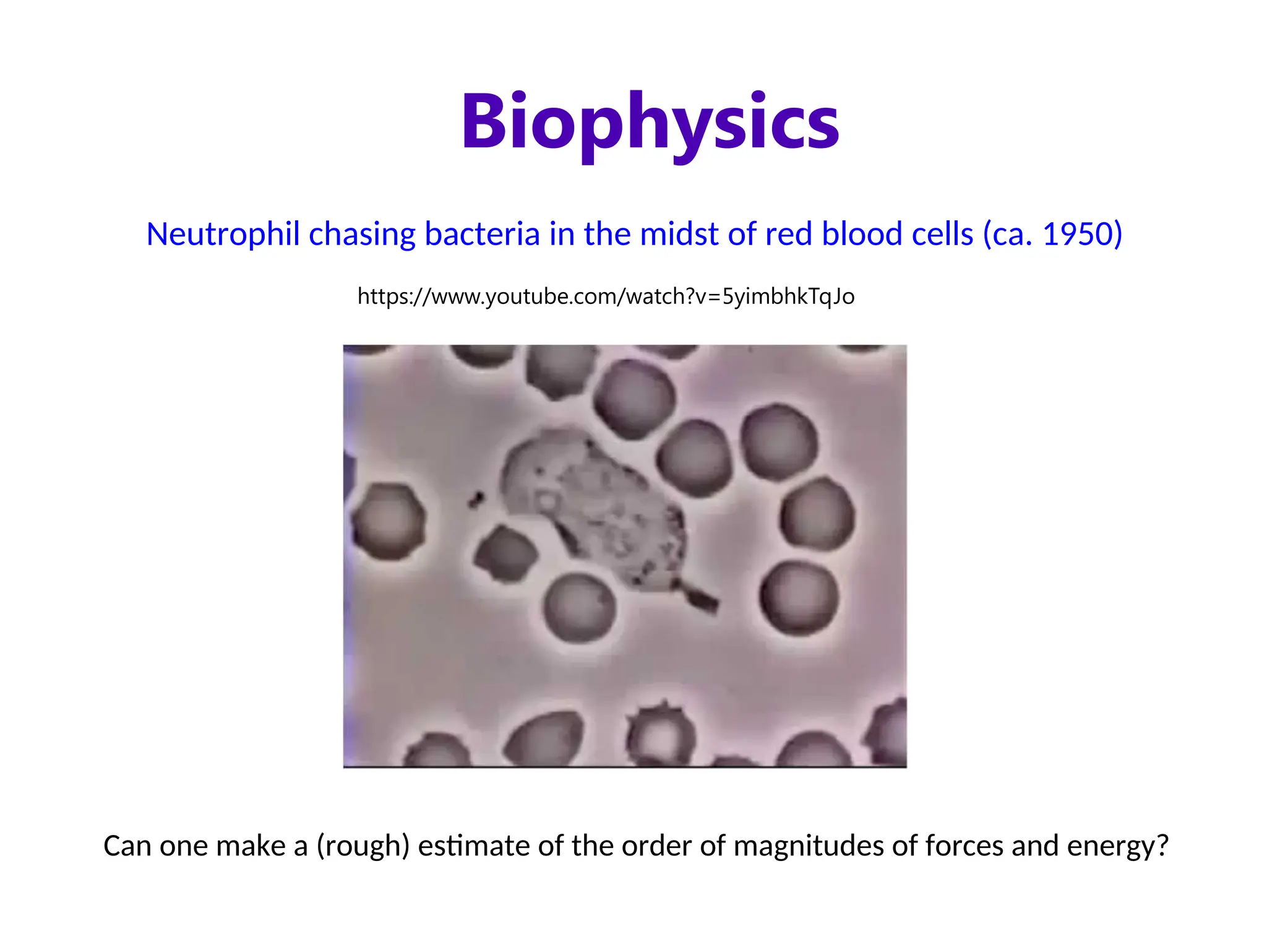 A class about Biophysics Introduction and history of biophysicist | PPT