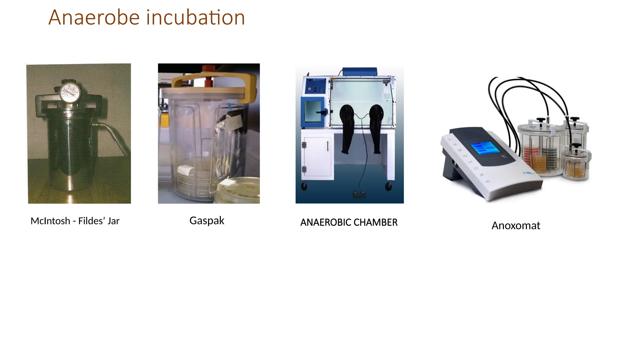 Anaerobic bacteria, Introduction, diagnosis and management .pptx