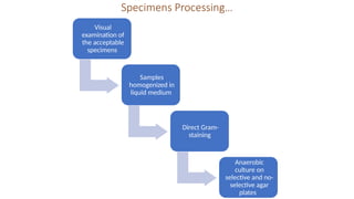 Anaerobic bacteria, Introduction, diagnosis and management .pptx