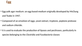 Anaerobic bacteria, Introduction, diagnosis and management .pptx