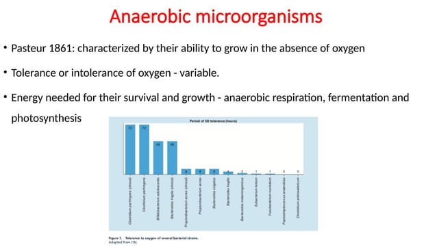 Anaerobic bacteria, Introduction, diagnosis and management .pptx ...