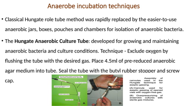Anaerobic bacteria, Introduction, diagnosis and management .pptx ...