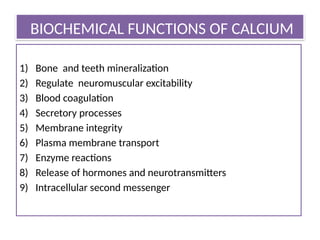 Presentation on minerals like calcium and iron | PPTX