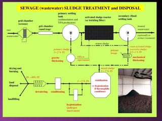 Sewage and sludge as waste material | PPT