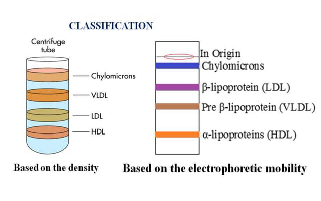 class -2 Simple & Compound lipids.pptx | Chemistry | Science