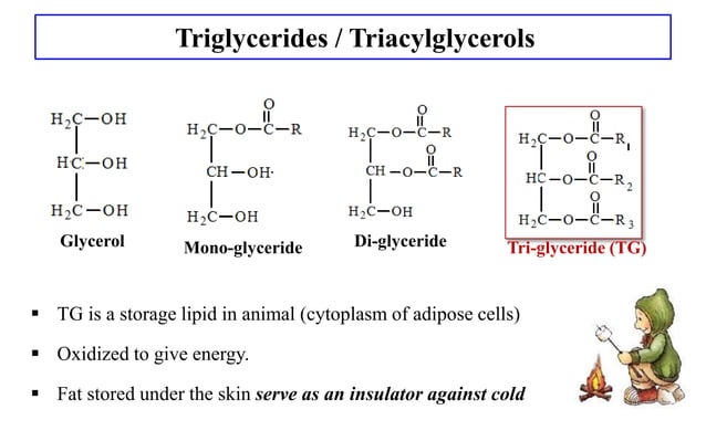 class -2 Simple & Compound lipids.pptx | Chemistry | Science