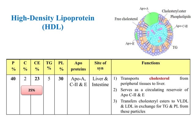 class -2 Simple & Compound lipids.pptx | Chemistry | Science