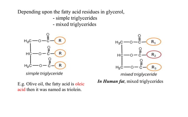 class -2 Simple & Compound lipids.pptx | Chemistry | Science