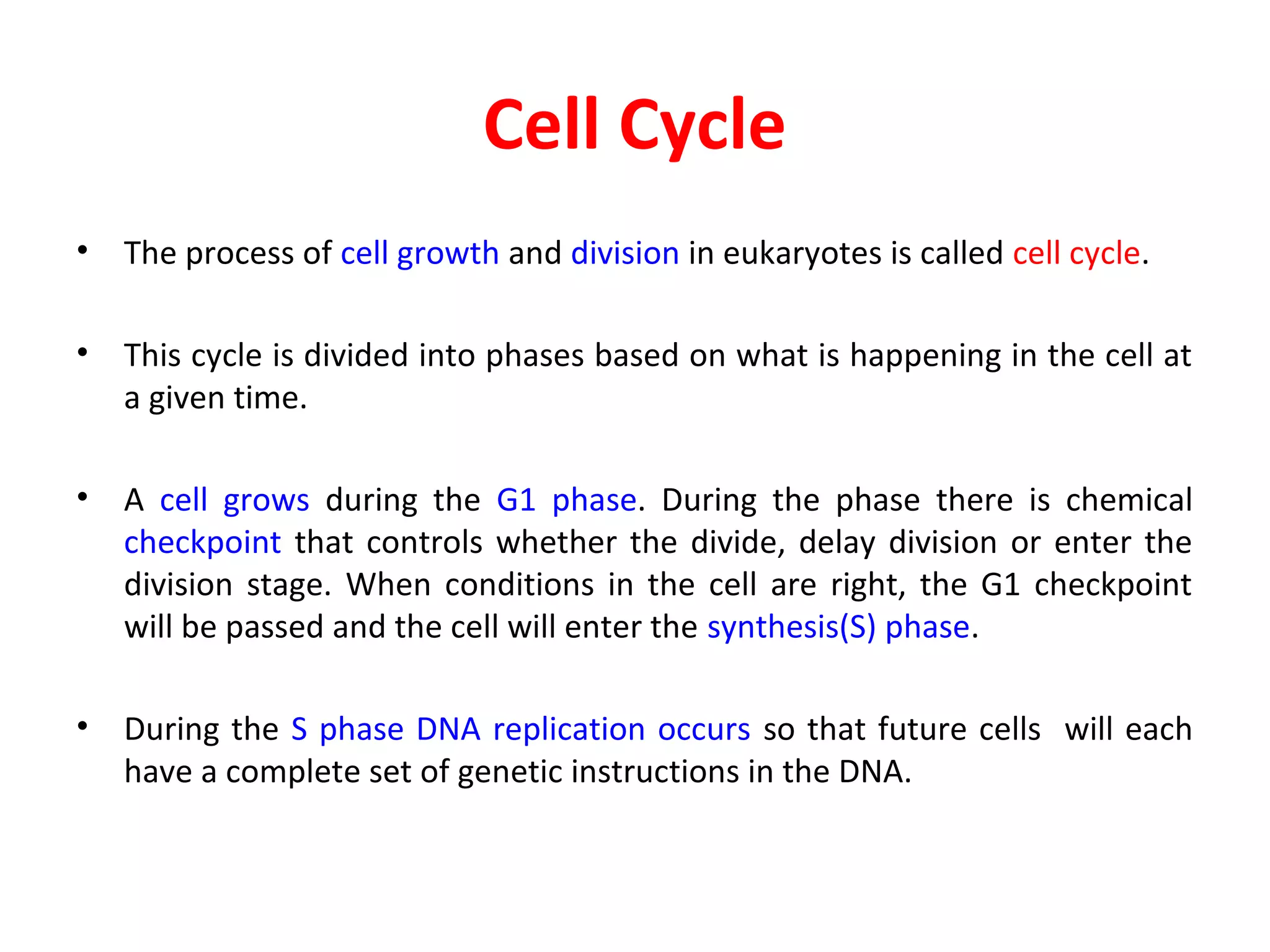 Class 3-cell division & mito | PPT