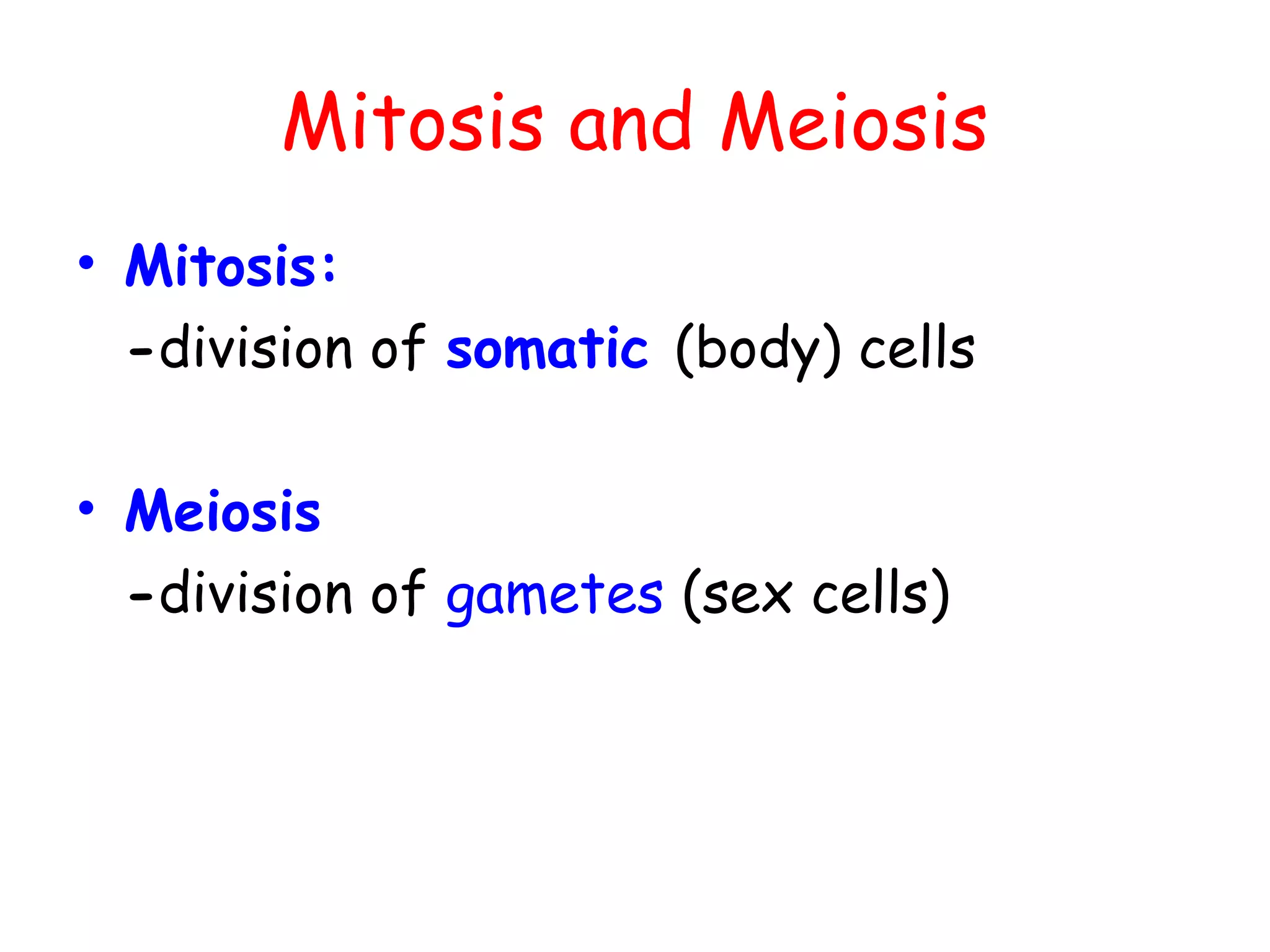 Class 3-cell division & mito | PPT