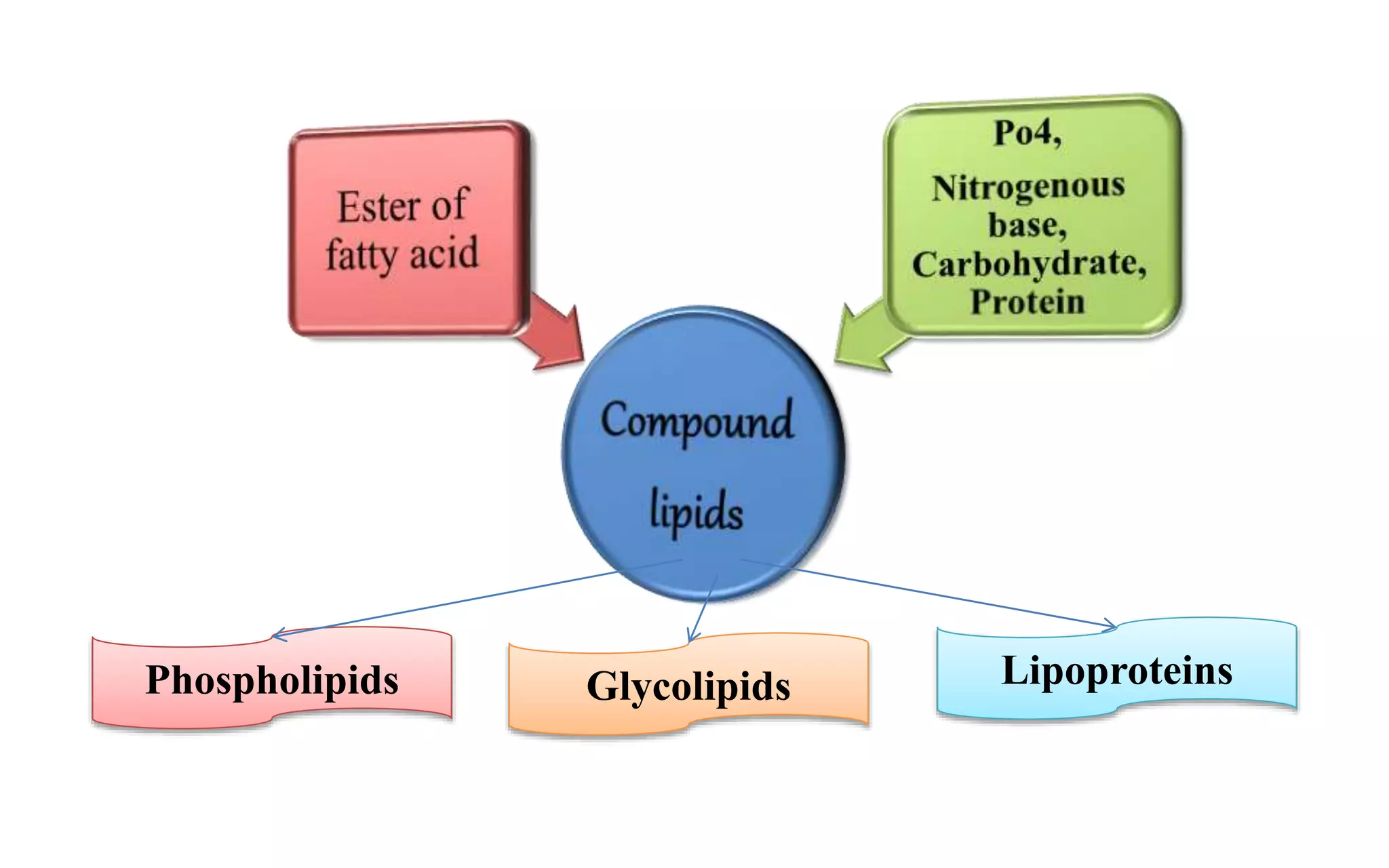 class -3: Compound lipids .pptx