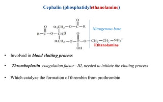 class -3: Compound lipids .pptx