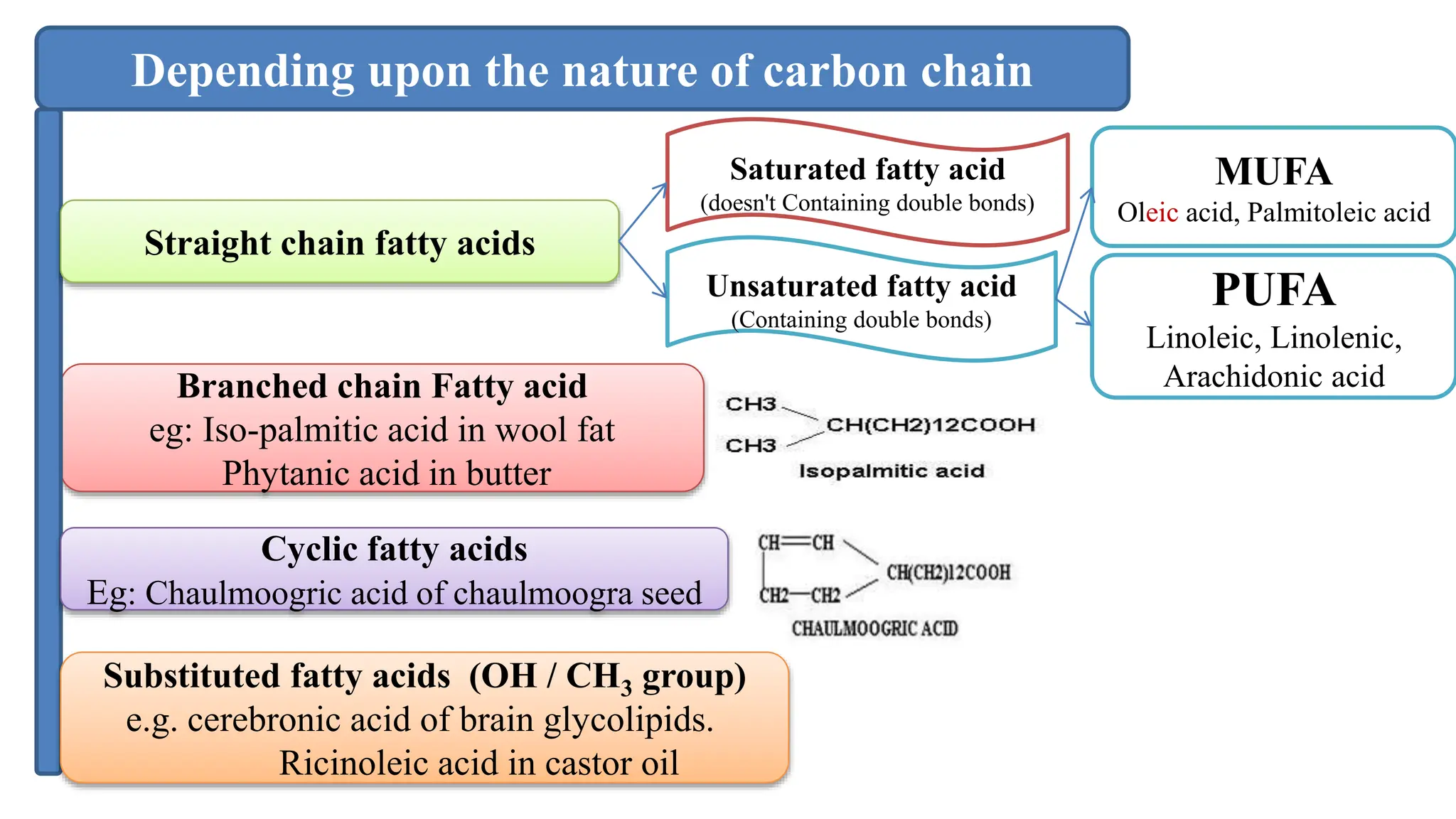 class-3 Derived lipids (steorids).pptx