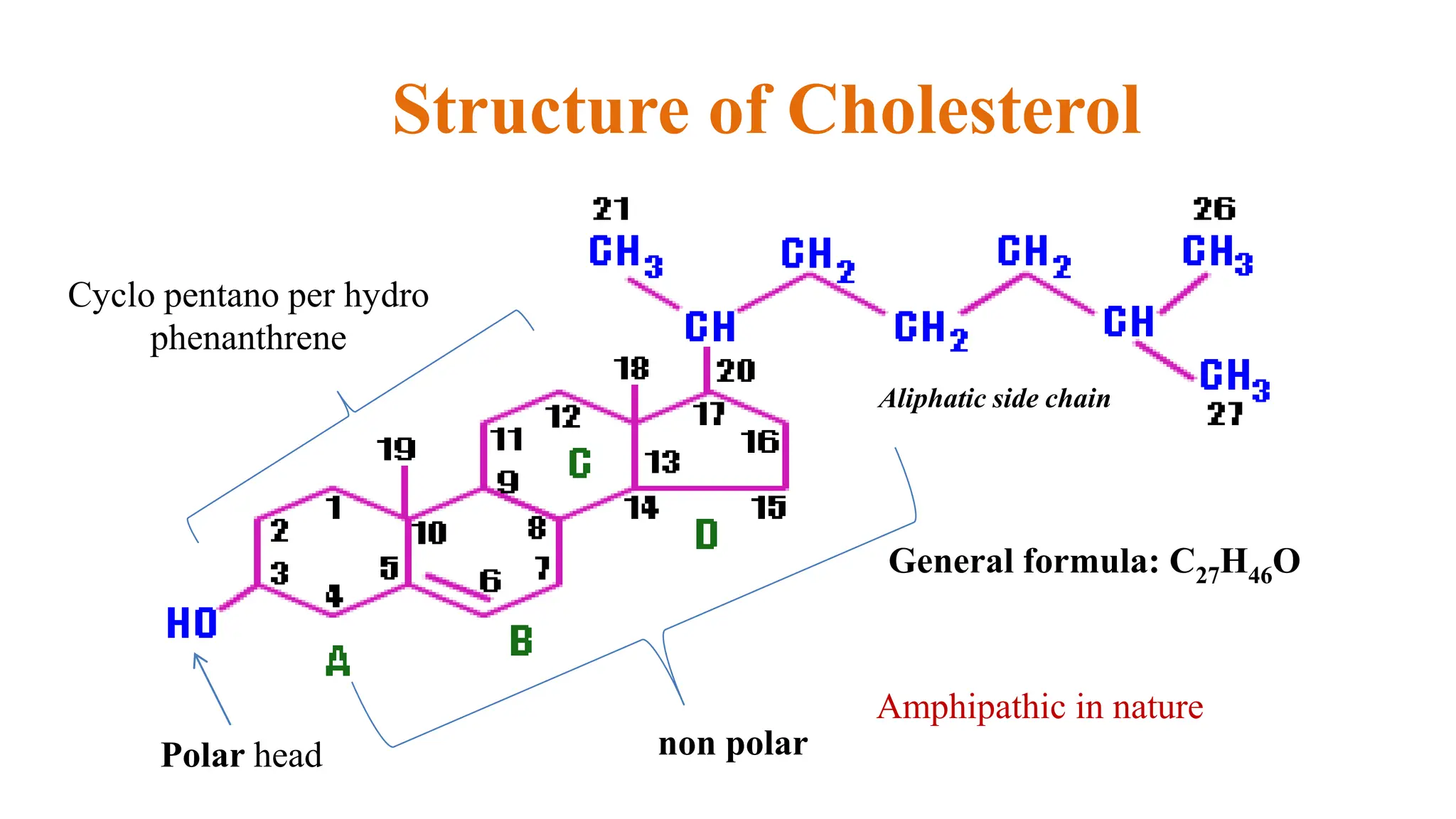 class-3 Derived lipids (steorids).pptx