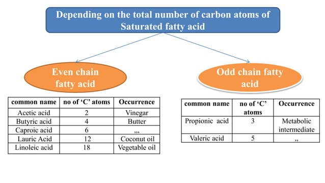 class-3 Derived lipids (steorids).pptx | Lung and Respiratory Health ...