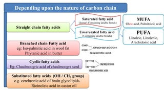 class-3 Derived lipids (steorids).pptx