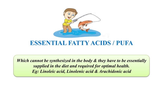 class-3 Derived lipids (steorids).pptx | Lung and Respiratory Health ...