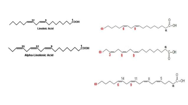 class-3 Derived lipids (steorids).pptx | Lung and Respiratory Health ...
