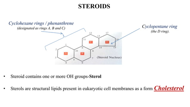 class-3 Derived lipids (steorids).pptx | Lung and Respiratory Health ...