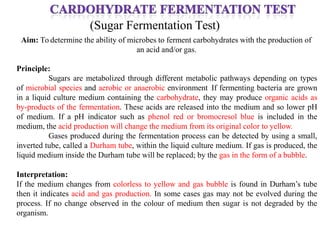 Class-5, Identification of microbes.pptx