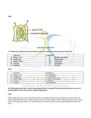 Class VII Exemplar Solutions Science Chapter 1 Nutrition in Plants | PDF | Gardening | Home & Garden