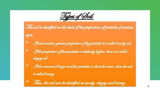 presentation on forest for uses to describe the environment | PPT
