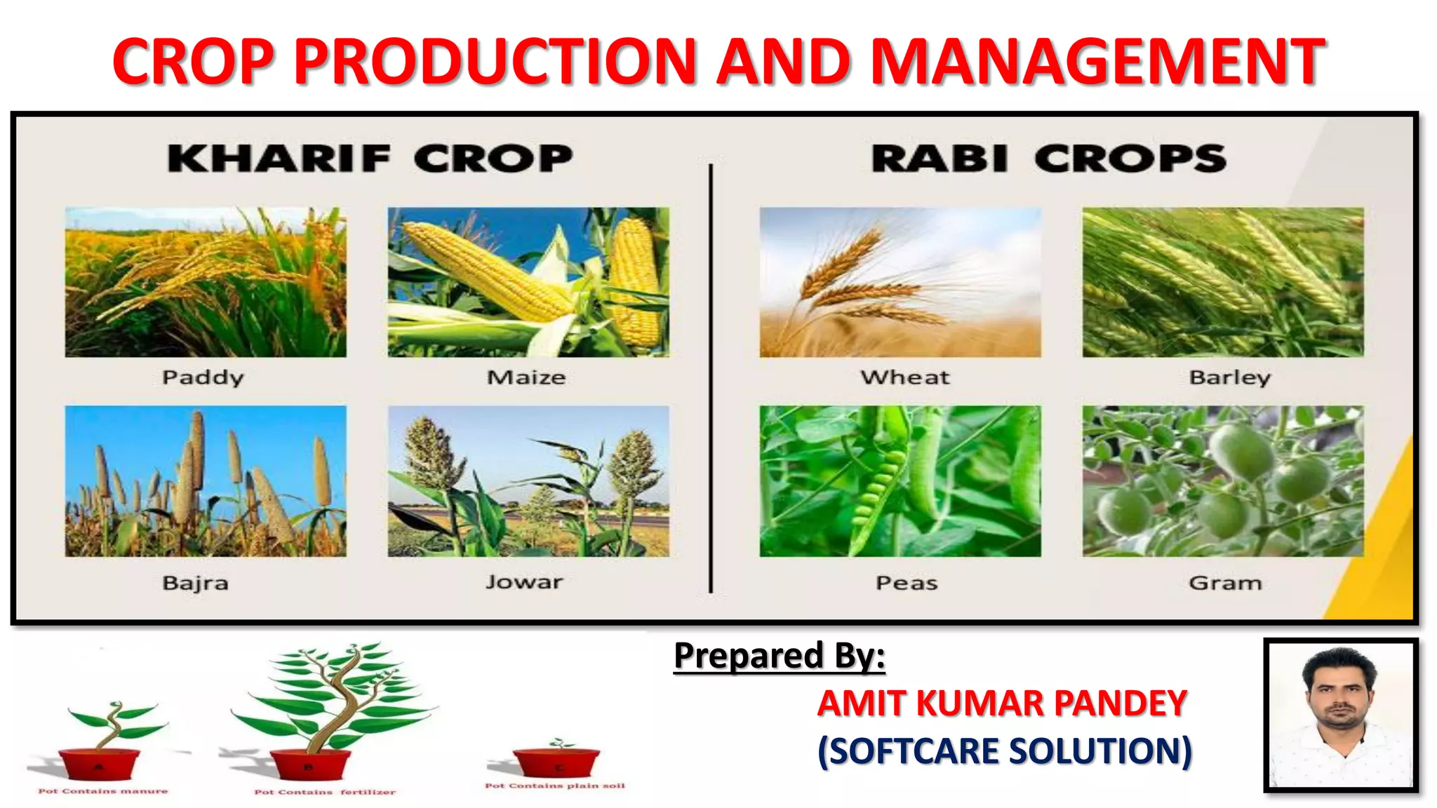 Class-8-Chapter-01-Science-Chemistry_Crop_Production_And_Management.pdf