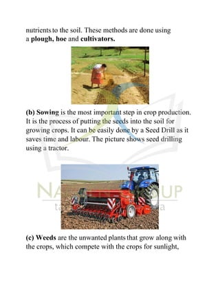 Class 8 Biology NCERT Solutions Chapter 1 Crop Production and ...