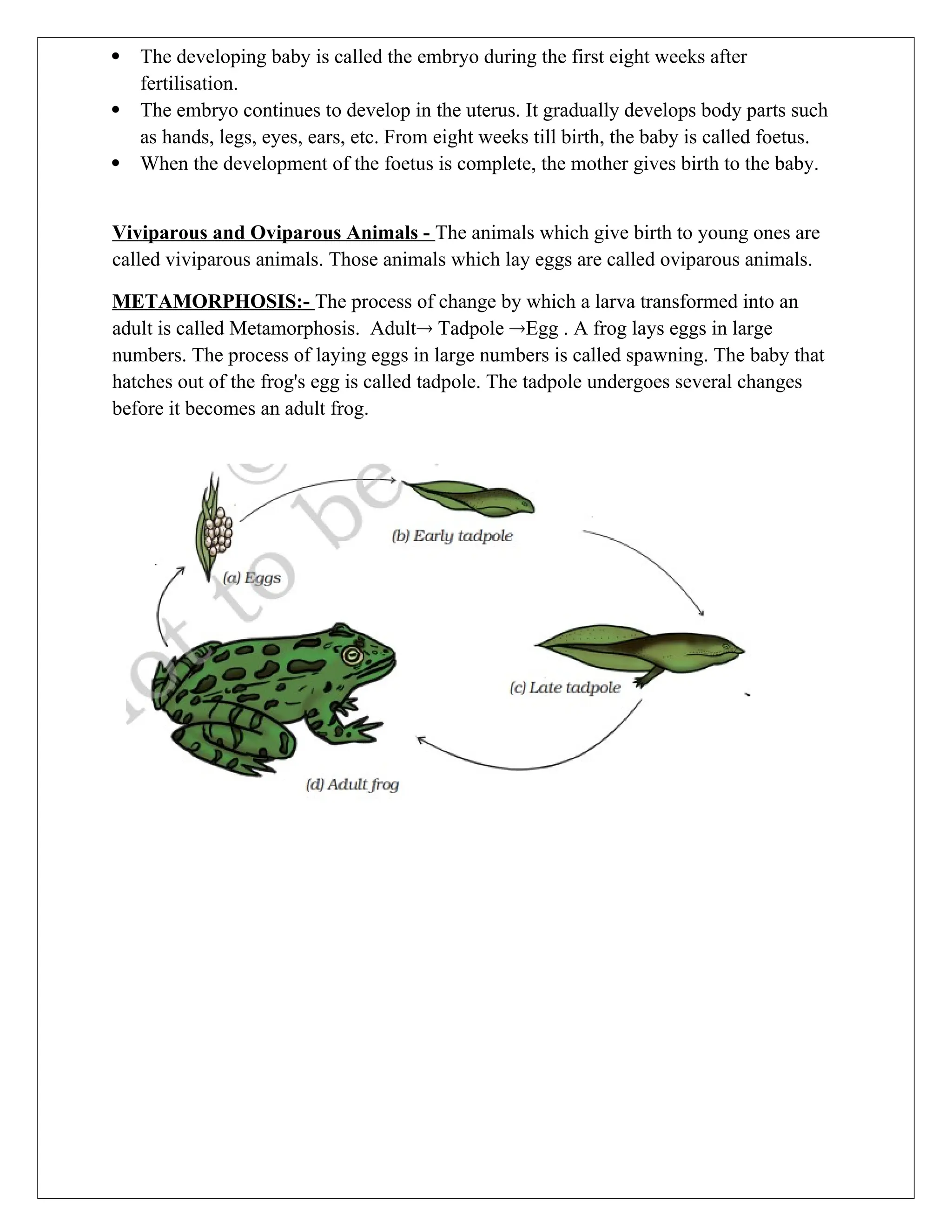 BOTANY AND BIOLOGY 12TH MOST IMPORTANT POINT | PDF