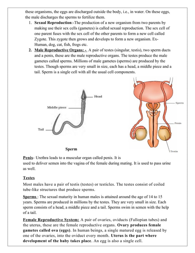 BOTANY AND BIOLOGY 12TH MOST IMPORTANT POINT | PDF