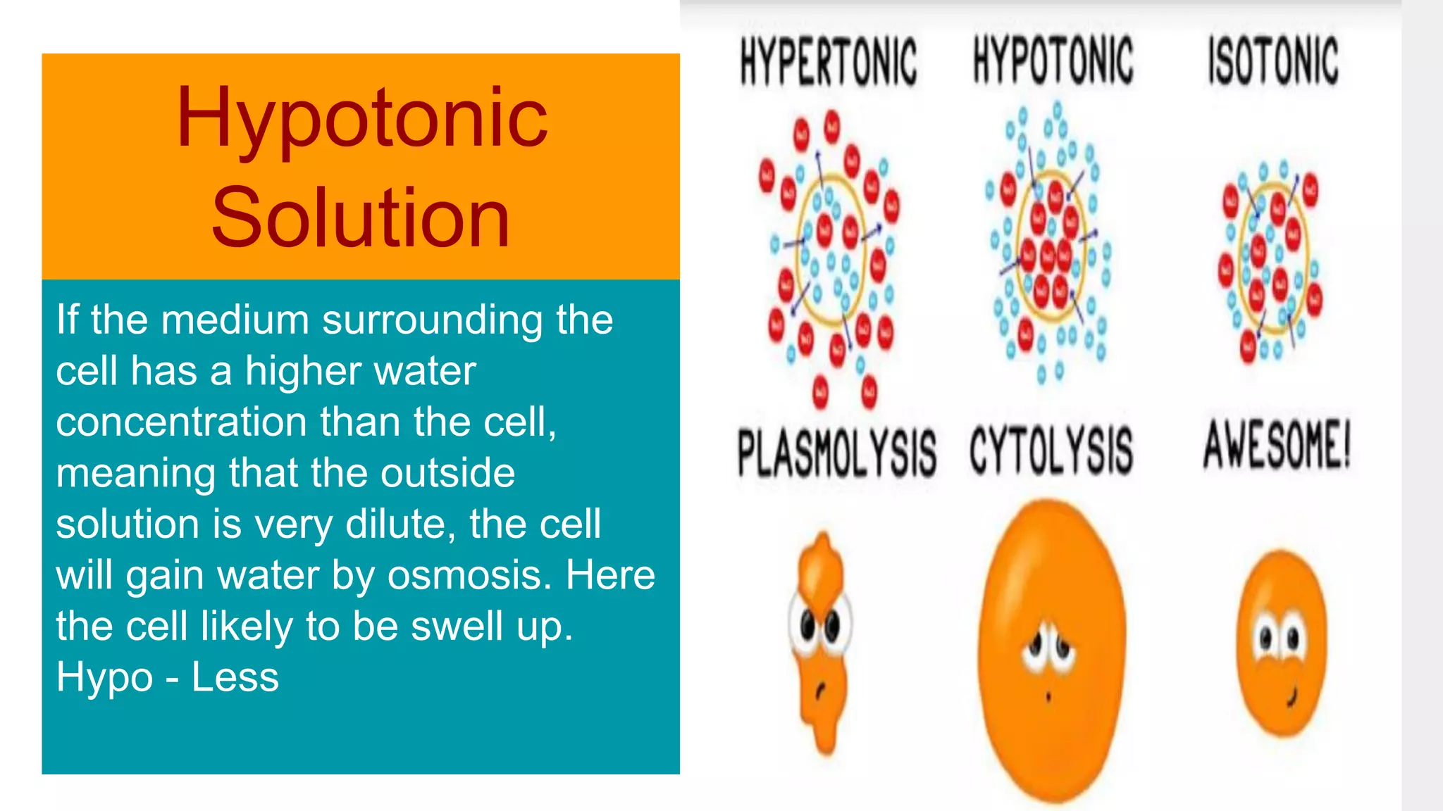 Class 9 biology chapter 1 | PDF