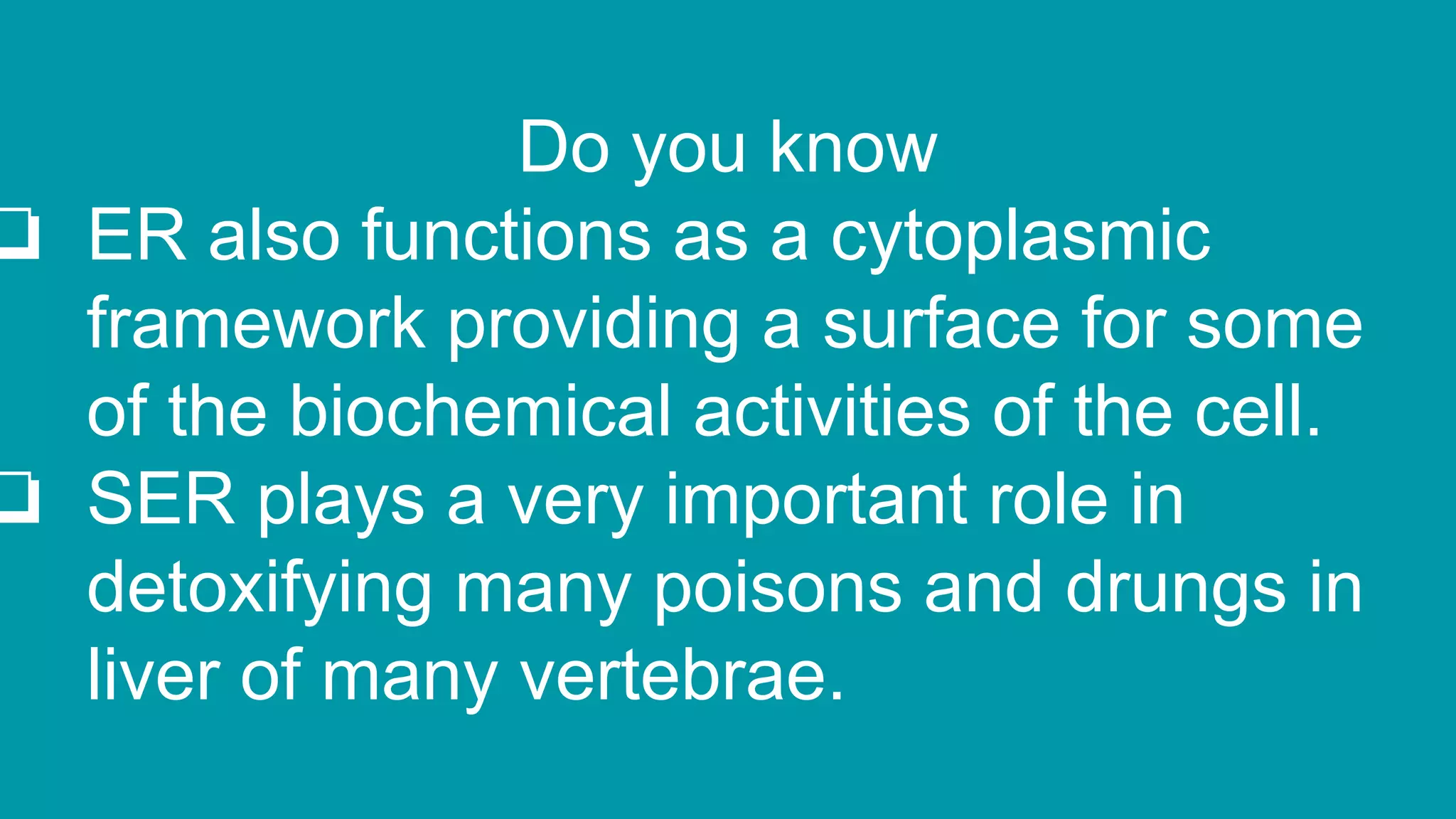 Class 9 biology chapter 1 | PDF