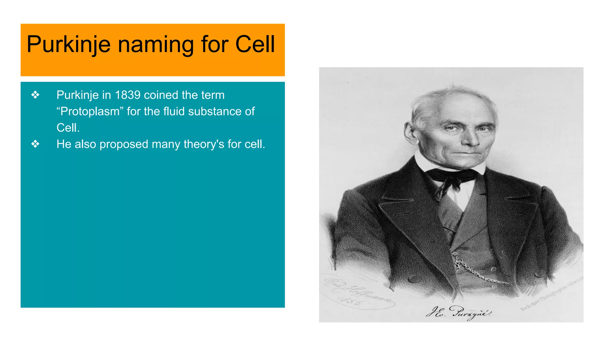 Class 9 biology chapter 1 | PDF