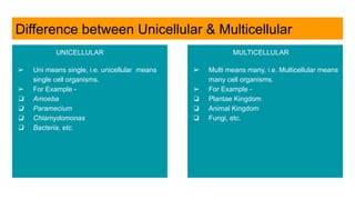 Class 9 biology chapter 1 | PDF