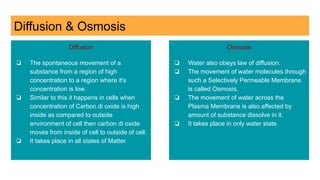 Class 9 biology chapter 1 | PDF