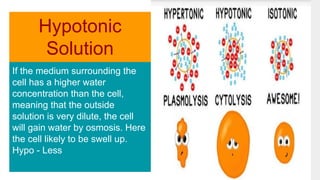 Class 9 biology chapter 1 | PDF