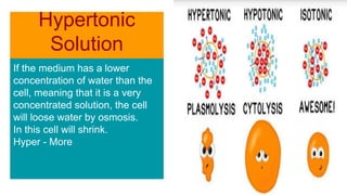 Class 9 biology chapter 1 | PDF