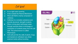 Class 9 biology chapter 1 | PDF