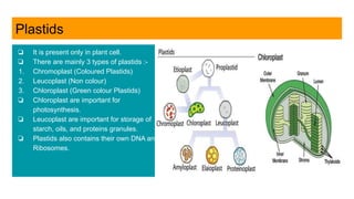 Class 9 biology chapter 1 | PDF