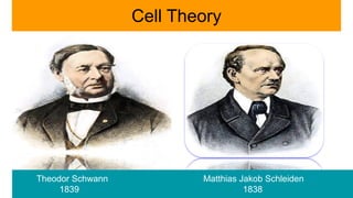 Class 9 biology chapter 1 | PDF