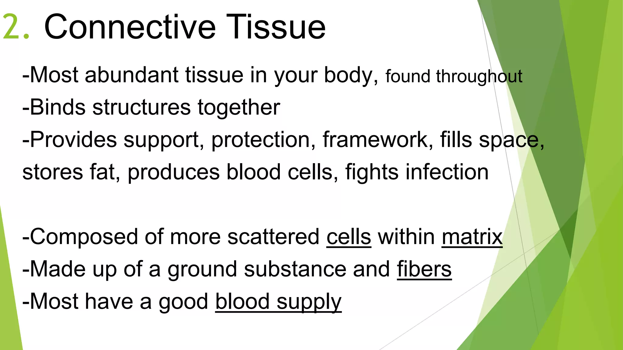 Class-9, Ch-6 Tissues ppt.pptx