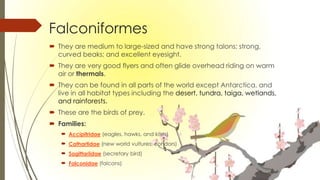 Class aves List | PPTX