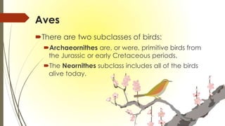 Class aves List | PPTX