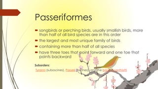 Class aves List | PPTX
