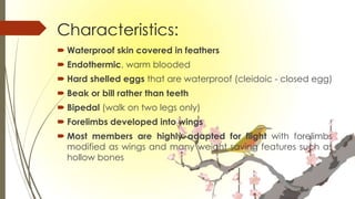 Class aves List | PPTX