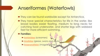 Class aves List | PPTX