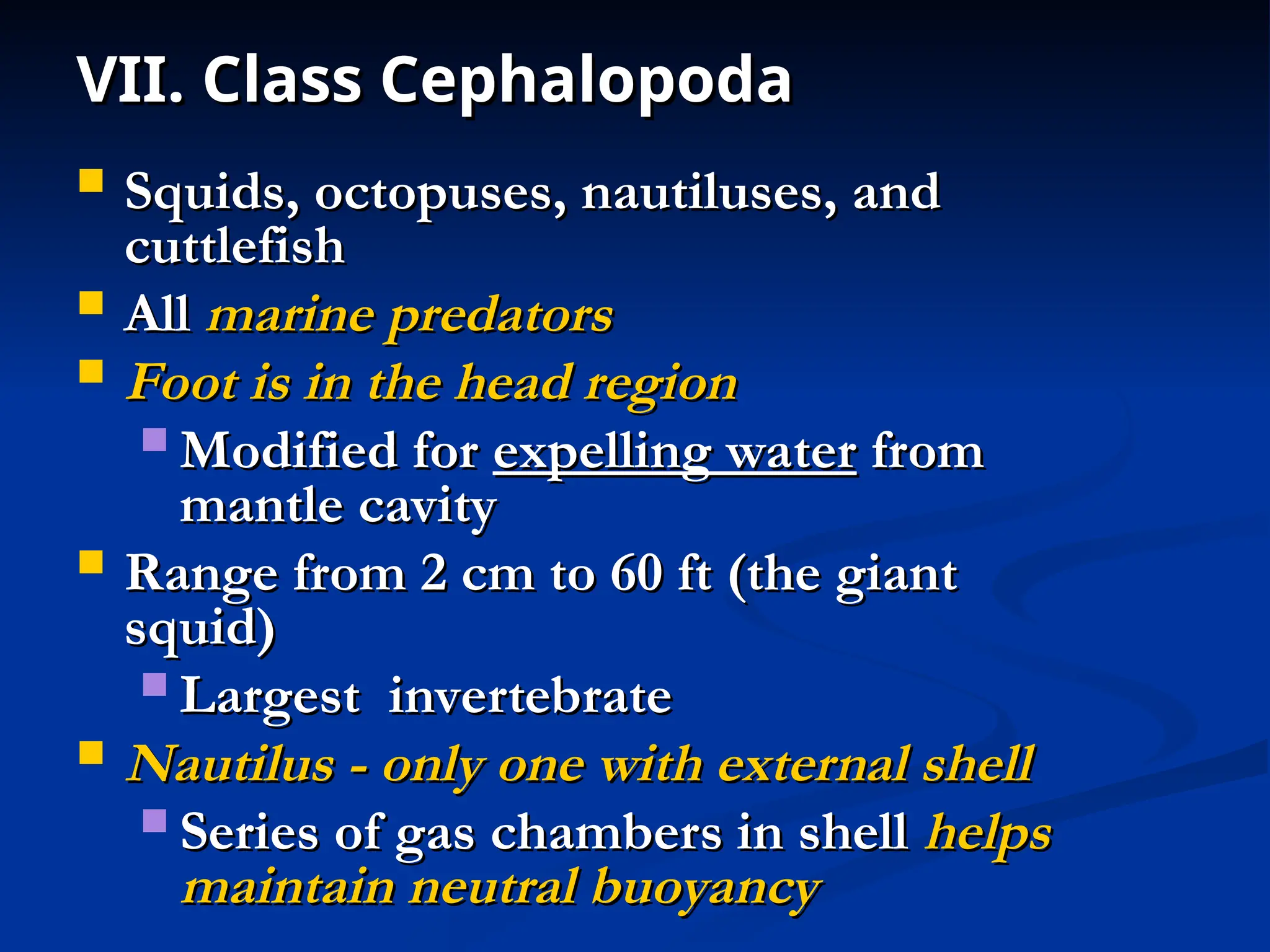 Class-Classification of Mollusca upto class.ppt