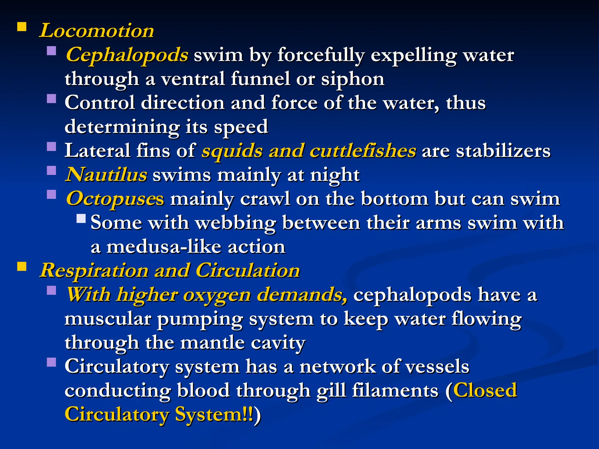 Class-Classification of Mollusca upto class.ppt